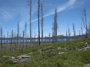 Under Cascade Blue Skies - Cascade Lakes Scenic Byway in Oregon ...